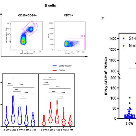 Specific Effector T Cells Follicular Helper T Cells And B Cells Download Scientific Diagram