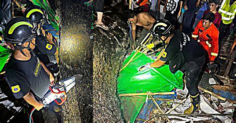 ឪពុក និង កូន ម្នាក់ បាន ស្លា ប់ នៅ ពេល ដើមឈើ មួយ ដើម សង្កត់ លើ ជម្រក បណ្ដោះអាសន្ន ក្នុង ទីក្រុង