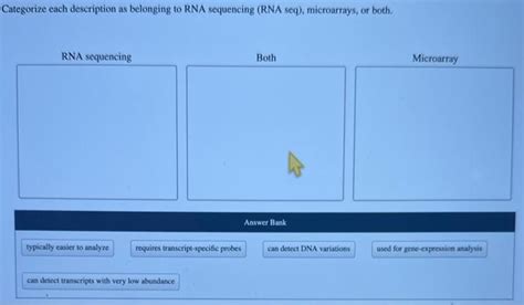 Categorize Each Description As Belonging To Rna