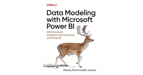 Data Modeling With Microsoft Power Bi Book