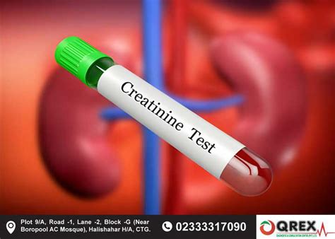 Serum Creatinine Test Qrex Diagnostic