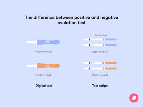 Will My Ovulation Test Be Positive If Im Pregnant Flo