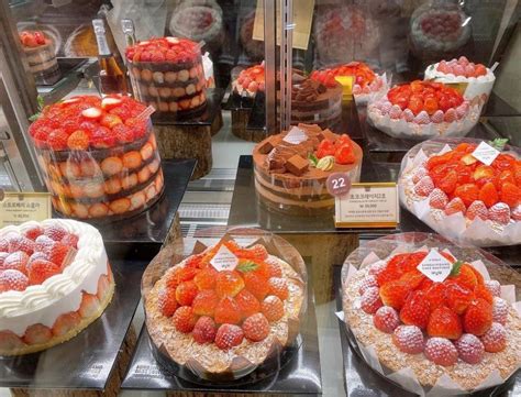 최근 딸기축제 시작한 성심당  인스티즈 Instiz 이슈 카테고리