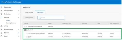 Protecting Windows Clustered Disks With Data Manager Dell Powerprotect Data Manager File