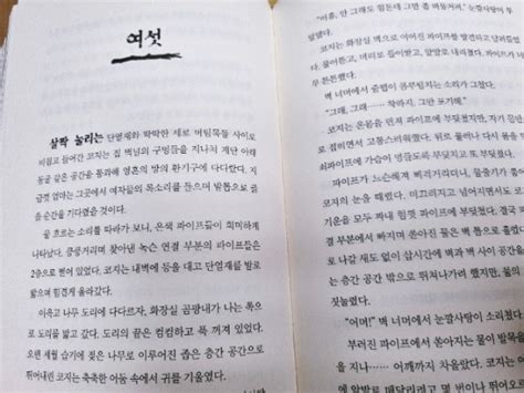 [알라딘서재]어린 여우를 위한 무서운 도시 이야기