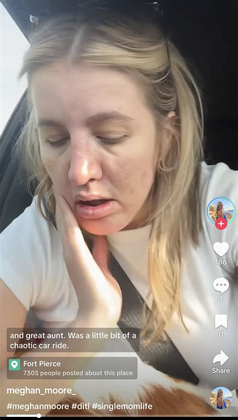 Basicmegsnark