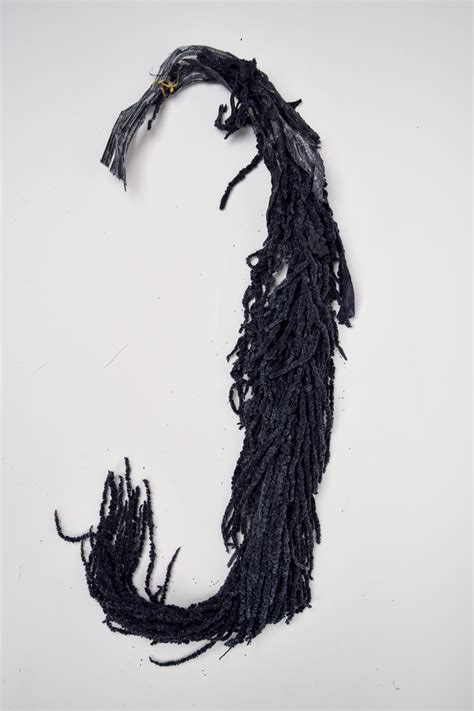 Hanging Amaranthus Black Abraflora Hanging Amaranthus Black Abraflora