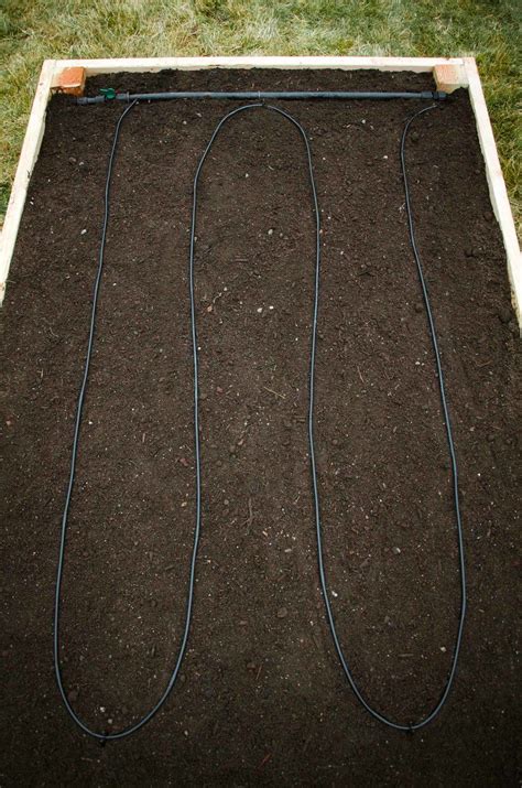 How To Make An Easy Inexpensive Diy Irrigation System Artofit