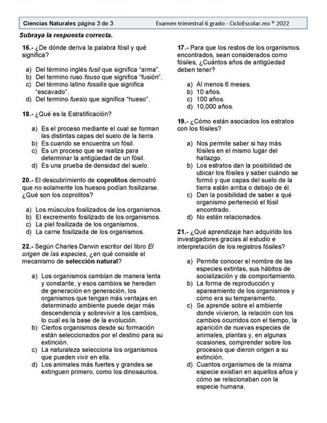 Examen Trimestre Bloque I 6° Primaria Ciclo Escolar 2022 2023página10