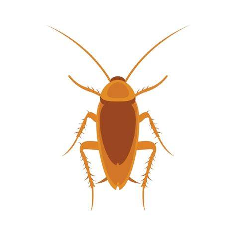 1180 Cucaracha Realista Royalty Free Photos And Stock Images