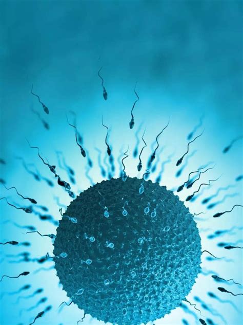 விந்தணு தரத்தை ஓவர்நைட்டில் அதிகரிப்பது எப்படி Tamilsamayam