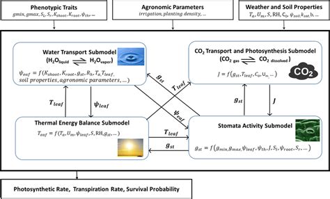 model inputs outputs and connectivity among the submodels