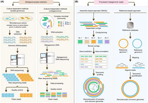 A Review Of Computational Tools For Generating Metagenome Assembled