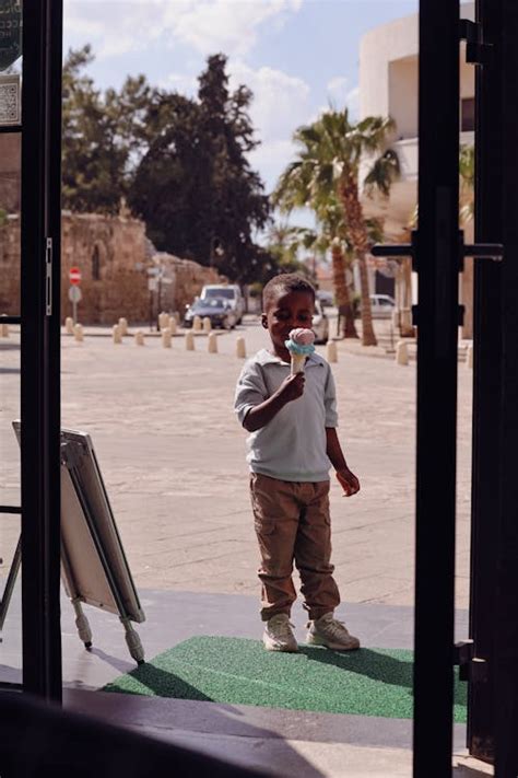 가로수가 늘어선 거리 건축 기쁨 나무 도시 경관 도시의 레저 맑은 날 맑은 하늘 먹는 모험 문호 개방