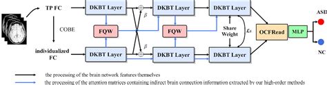 Figure 1 From A Multiview Brain Network Transformer Fusing