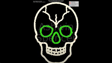 Dbscan Clustering Animation White Green Skull Data Science