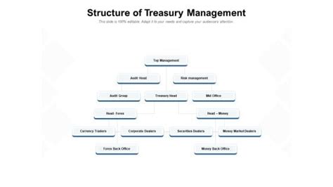 Structure Of Treasury Management Ppt Powerpoint Presentation Summary Slide Download