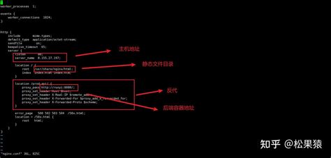 使用 Docker 容器化部署 Spring Boot Vue 项目：以若依后台管理系统为例 知乎