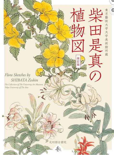 Best 13 Tea Producing Countries And Regions Artofit