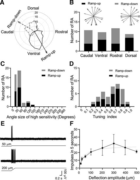 Behavioral Decomposition Reveals Rich Encoding Structure 46 Off