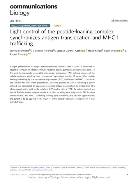 Pdf Light Control Of The Peptide Loading Complex Synchronizes Antigen
