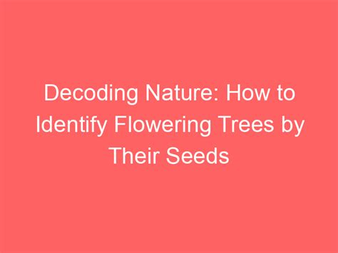 Decoding Nature How To Identify Flowering Trees By Their Seeds