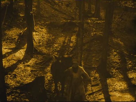 Nosferatu Nosferatu Image Fanpop