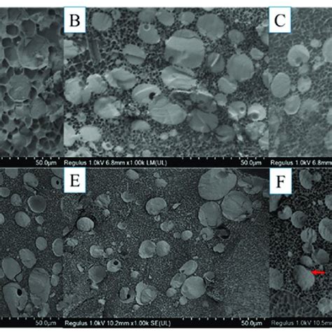 Cryo Sem Micrographs Of Mp Emulsion Gel With Different Cdf