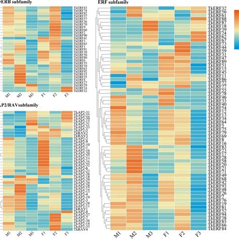 Gene Ontology Go Results In Tkap2erf Proteins Different Colored