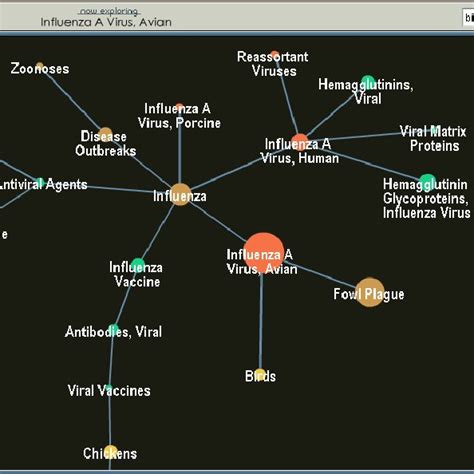 An Automatically Generated Concept Map For The Term “influenza A Virus Download Scientific