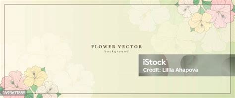 화려한 꽃이 있는 텍스트 또는 사진을 위한 섬세한 밝은 녹색 프레임 엽서 명함 졸업장 초대장을 위한 꽃 배경 0명에 대한 스톡