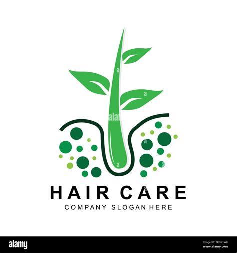 Hair Care Logo Scalp Layer Design Health Salon Brand Illustration Stock Vector Image And Art Alamy