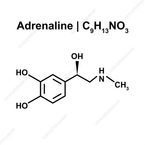 Adrenaline Structure Illustration Stock Image F0427832 Science