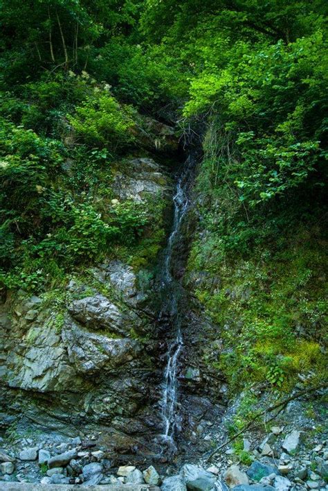 ლაგოდეხის ნაკრძალი საქართველო