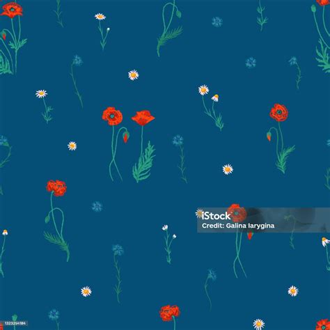 야생화벡터 원활한 텍스처 패턴 양귀비 옥수수꽃 샤모마일 수레국화에 대한 스톡 벡터 아트 및 기타 이미지 수레국화 0명 귀여운 Istock