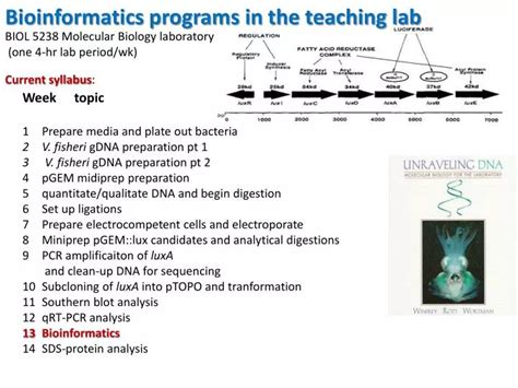 Ppt Bioinformatics Programs In The Teaching Lab Powerpoint