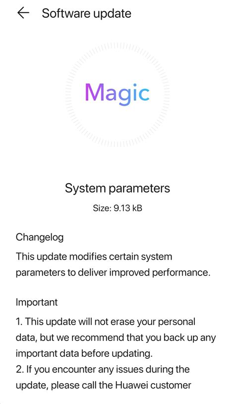 Honor View 20 Receiving Small System Parameter Update Hu
