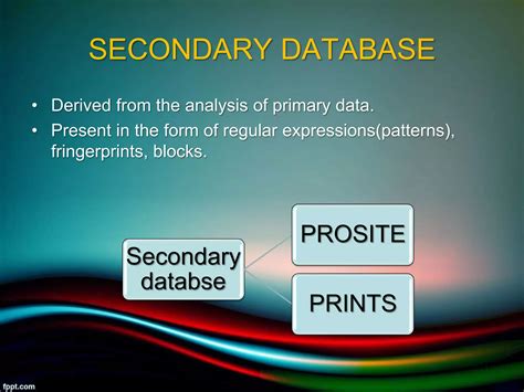 Primary And Secondary Database Ppt