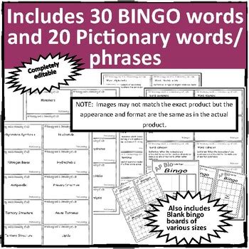 Editable AP Bio Unit Cell Communication And Cell Cycle Bingo And Pictionary