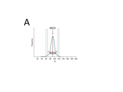 A Normal Rbc Histogram