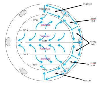 Global Wind Patterns Practice By Chemistry Physics Environmental Science