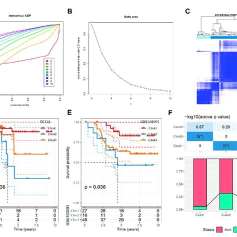 Construction Of Molecular Subtypes Based On Cuproptosis Associated