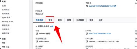 免费12个月使用体验AWS目前世界上最大的云服务器提供商家含DD教程 我不是咕咕鸽