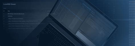 leveldb view in magnet axiom and axiom cyber
