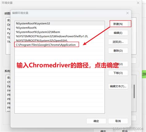 Selenium 安装 Webdriver （chromedriver版）webdriverchromedriver Csdn博客