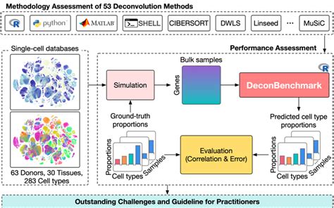 Deconbenchmark Bioinformatics Lab