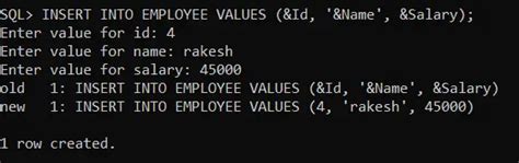 data manipulation language commands in oracle dot net tutorials