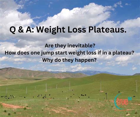 q and a weight loss plateaus are they inevitable women only personal training true180