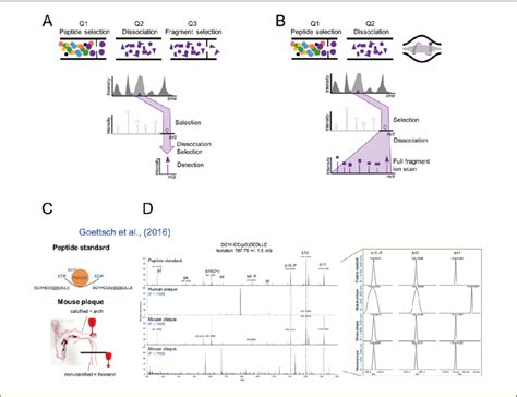 Targeted Proteomics Approaches A An Overview Of Selected Reaction Download Scientific