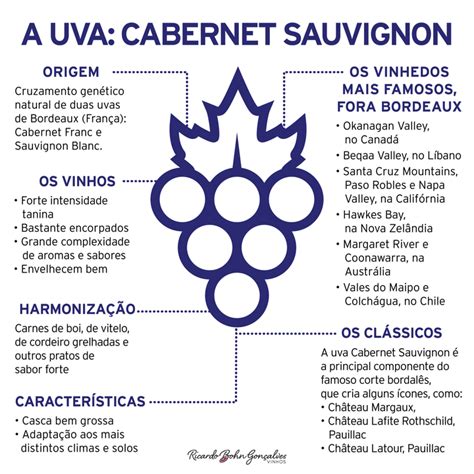 7 Infográficos Sobre As Uvas Mais Conhecidas Do Mundo Rbg Vinhos